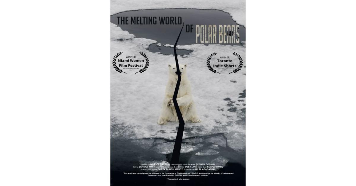 Anadolu Agency's documentary bags 1st prize at Toronto Independent ...