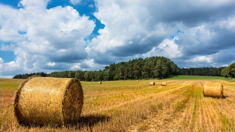 Study reveals over 80% of EU agriculture subsidies support polluting ... Study reveals over 80% of EU agriculture subsidies support polluting ...